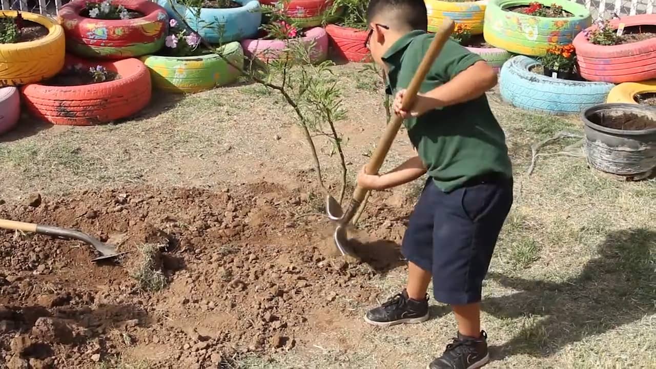 AZSP Celebrates Earth Day with Cartwright School District Starlight ...