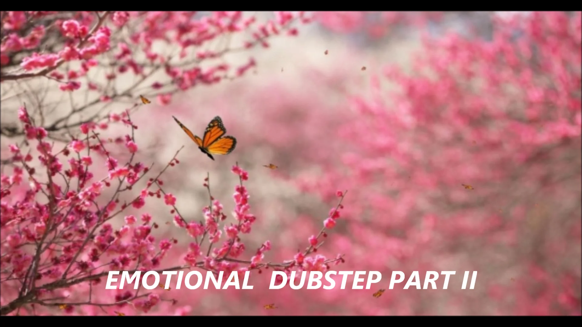 SOUND OF EMOTIONAL AND DUBSTEP PART II on Vimeo