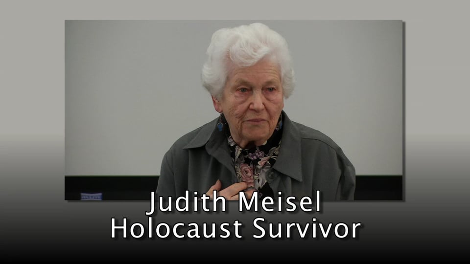 Judith Meisel - Q & A on Vimeo