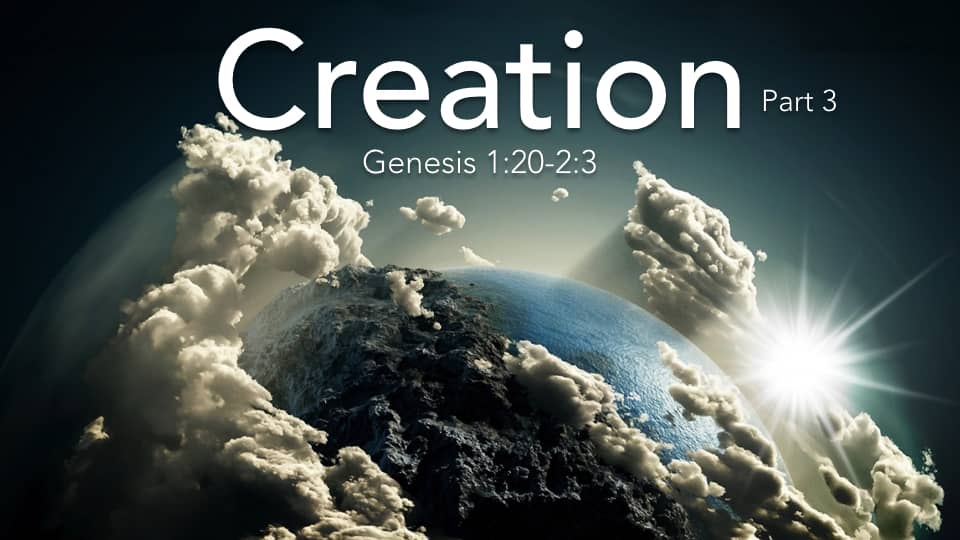 Creation Part 3 - Genesis 1:20-2:3 on Vimeo