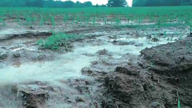 Phosphorus — Science Learning Hub