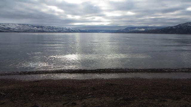 Lake Shore Calm - Free video on Pixabay