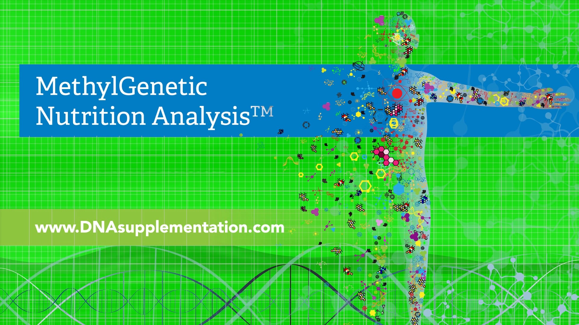 MethylGenetic Nutrition Analysis on Vimeo
