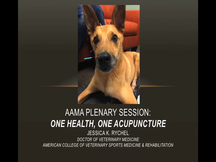 AAMA2016 Andrea Kachuck - AAMA-2016 06 Plenary 6 on Vimeo