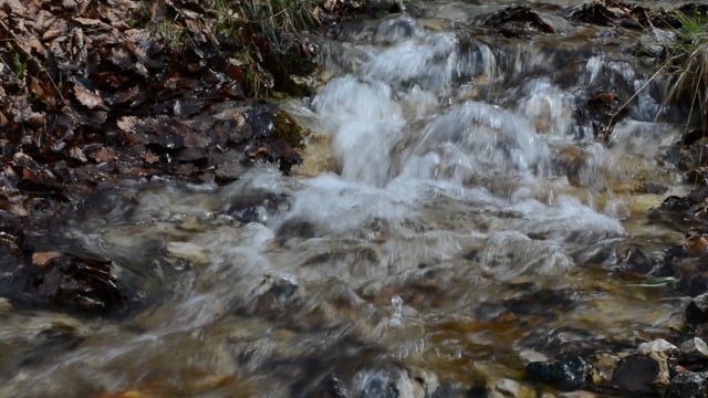 Water Stream - Free video on Pixabay