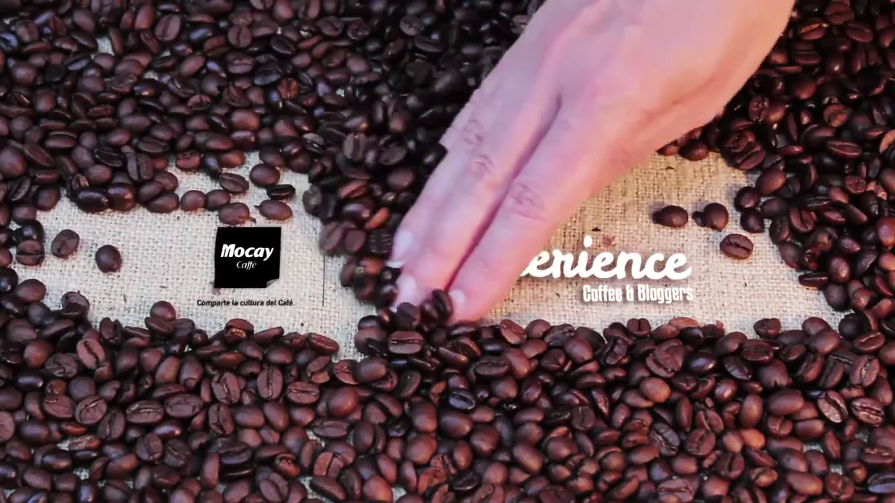 Evento Mocay Caffè on Vimeo