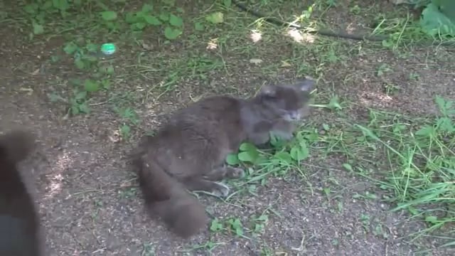 Funny on Vimeo