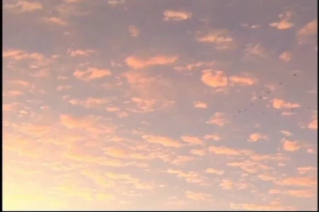 Sean Springer's Animation reel