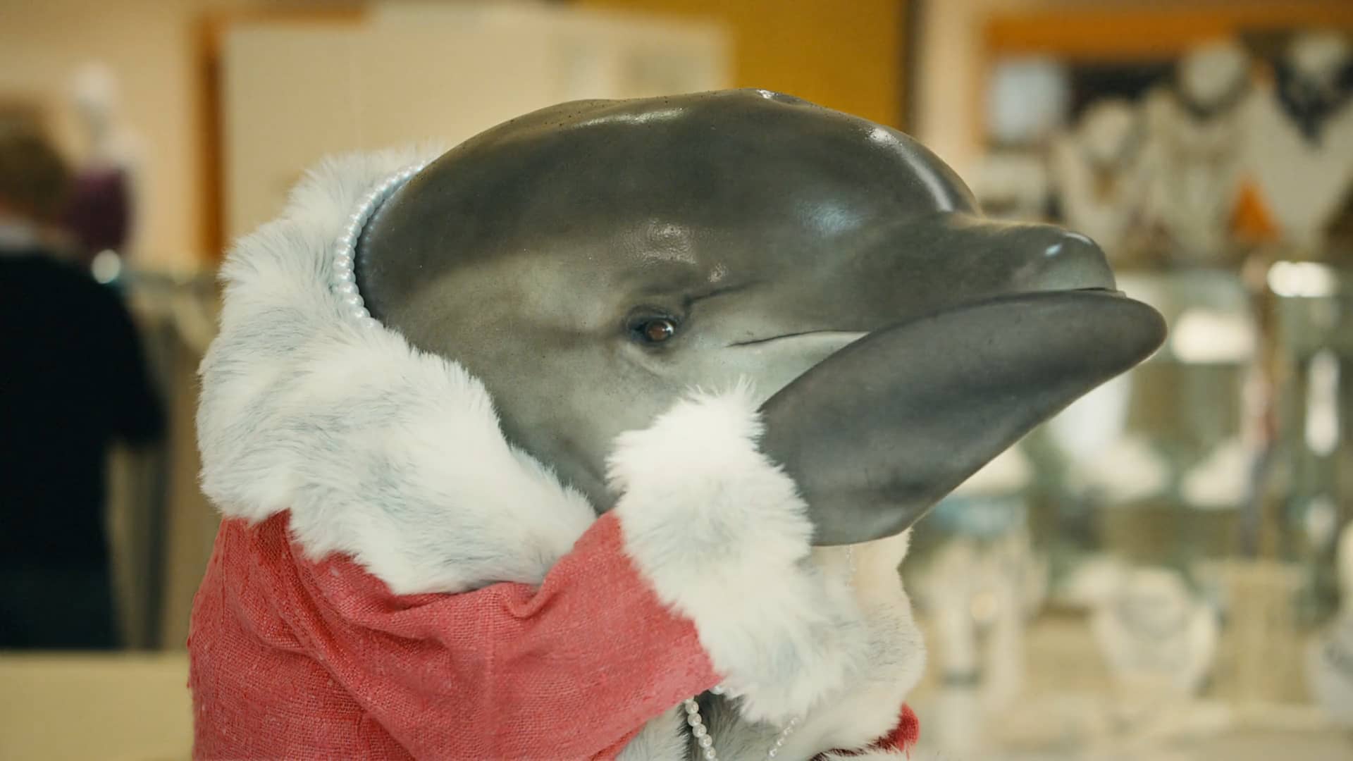 Snapple "Dolphin" :15 on Vimeo