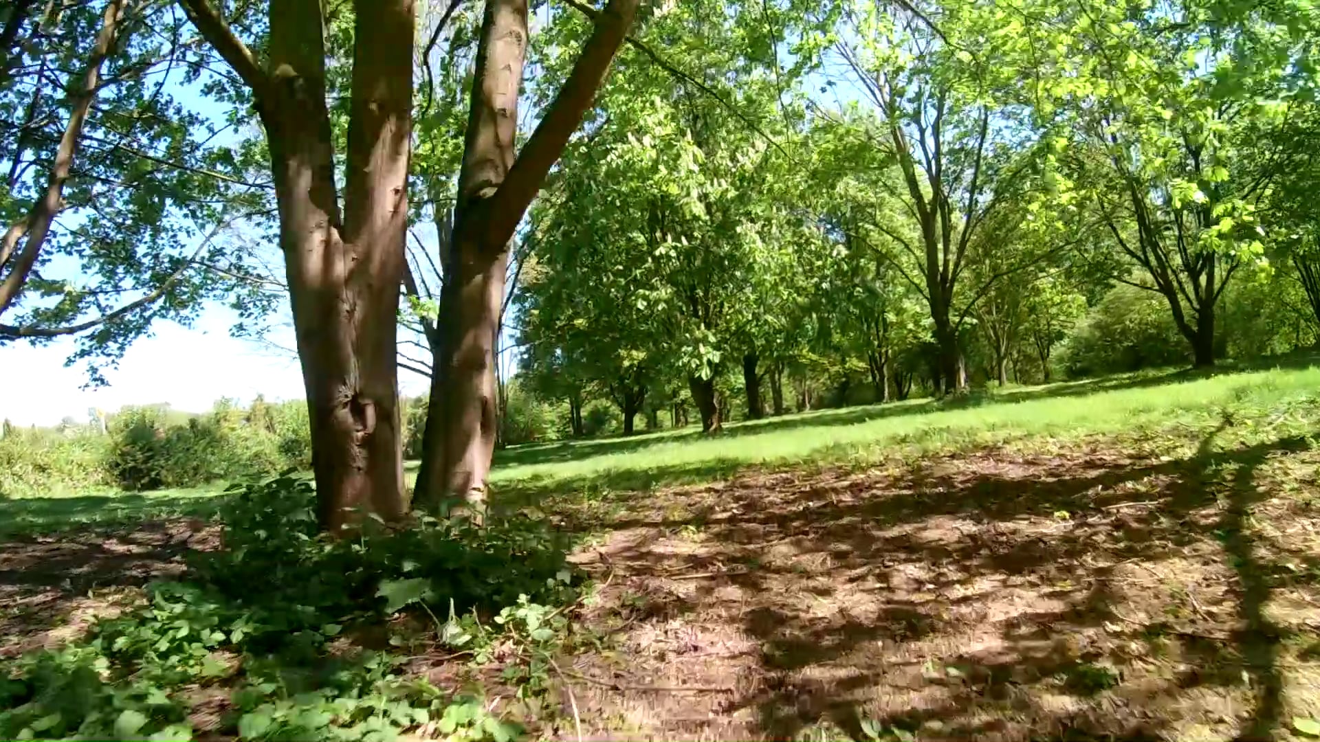 2016-05-08-1 on Vimeo