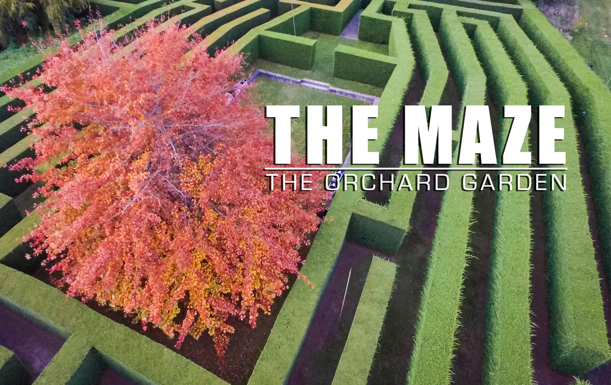 The Maze - Orchard Garden, Alexandra on Vimeo