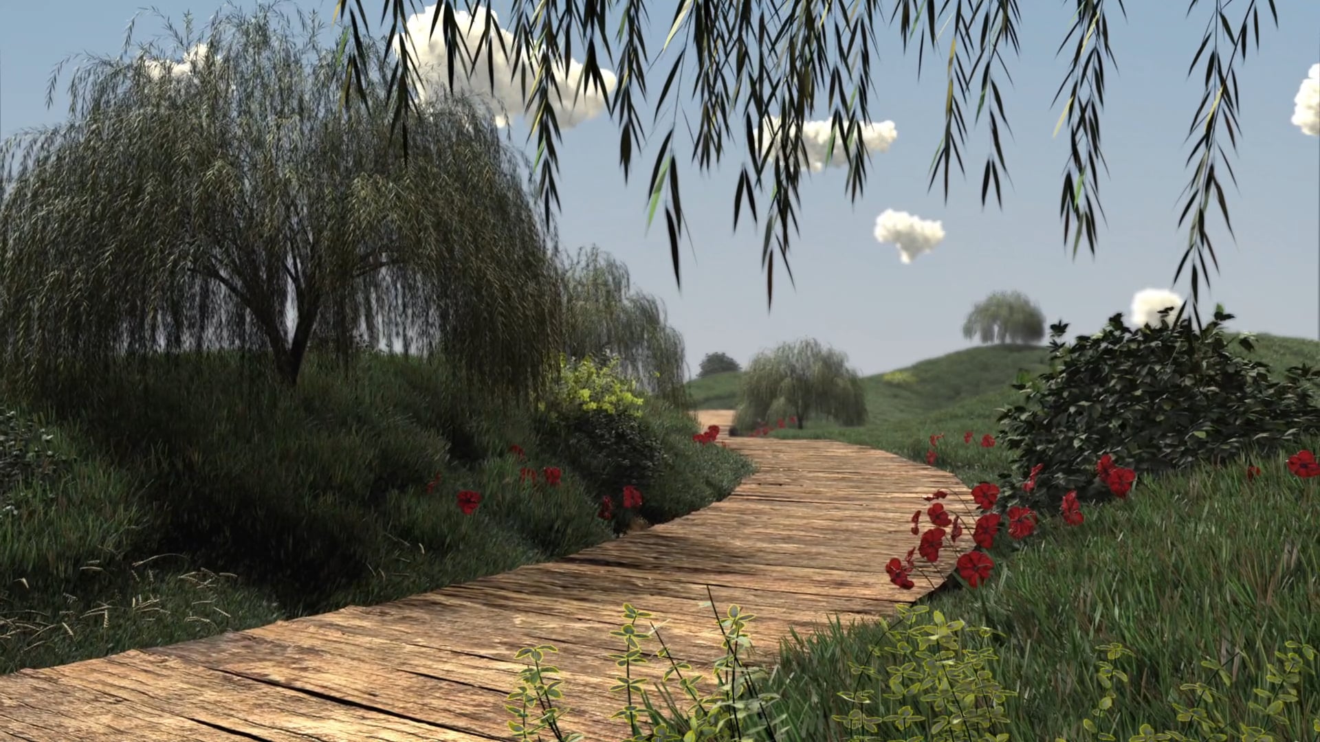 Nature Path on Vimeo