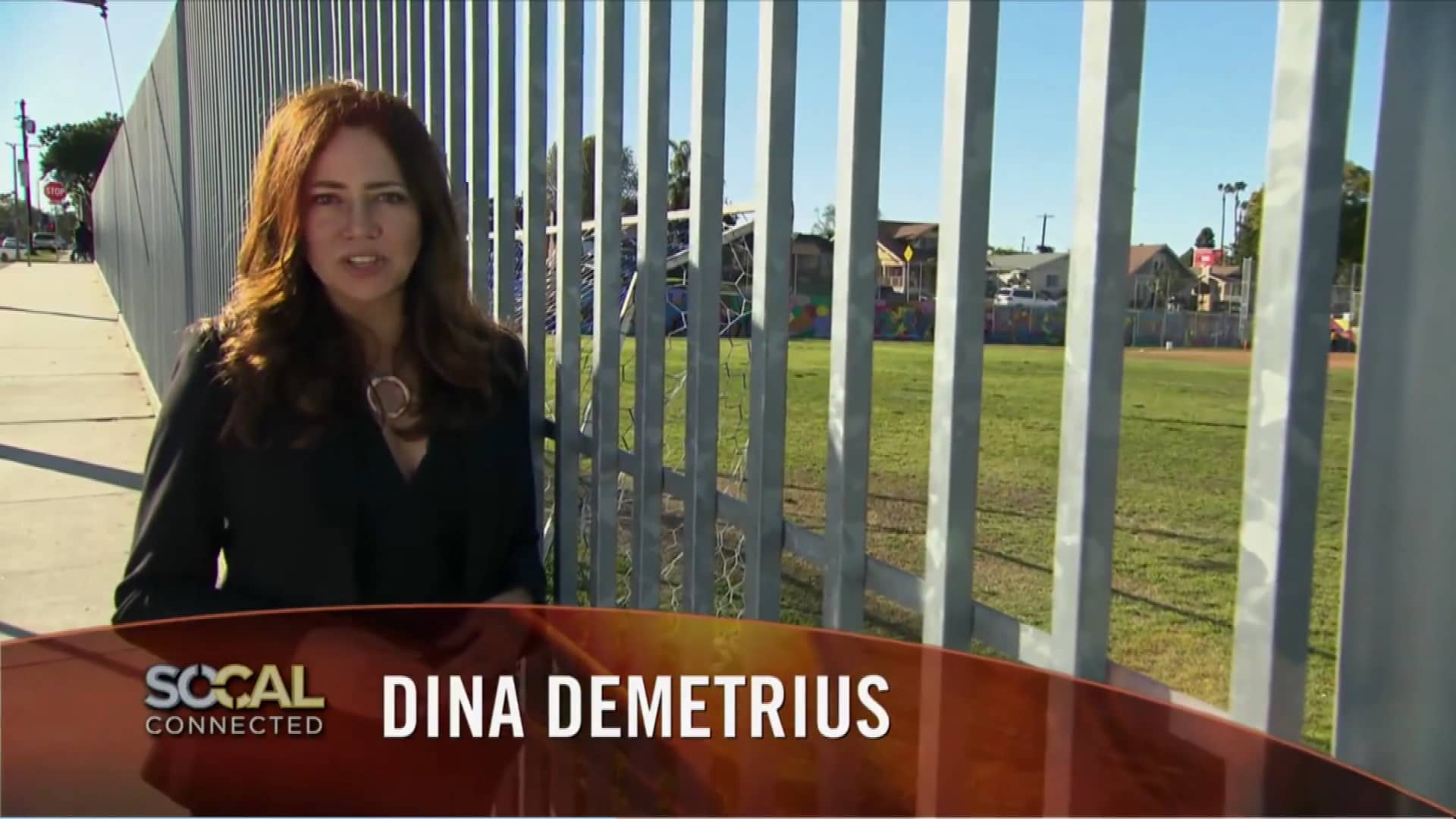 DINA DEMETRIUS CORRESPONDENT REEL on Vimeo