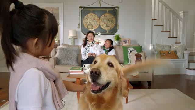 Petco Commercials on Vimeo