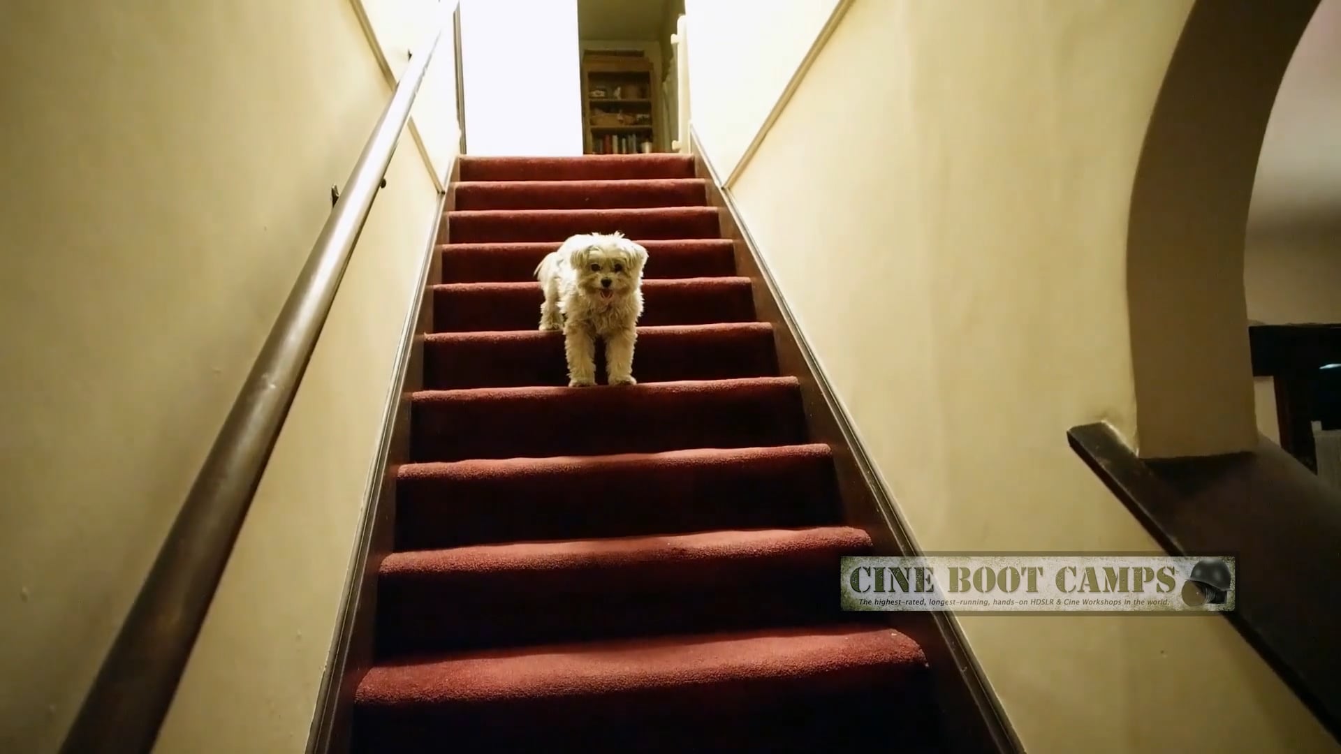 Samsung NX1 @1080 run and gun, hand-held test shoot (a CineBootCamps ...