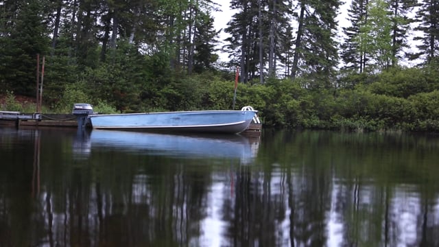 Canoa Barco Lago - Free video on Pixabay - Pixabay