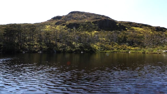 Water Ripples Videos: Download 132+ Free 4K & HD Stock Footage Clips ...