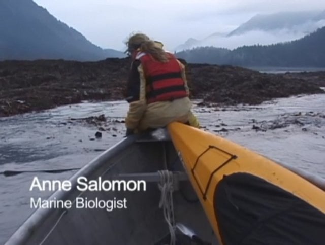 Bidarki: Where Science and Spirit Meet on Vimeo