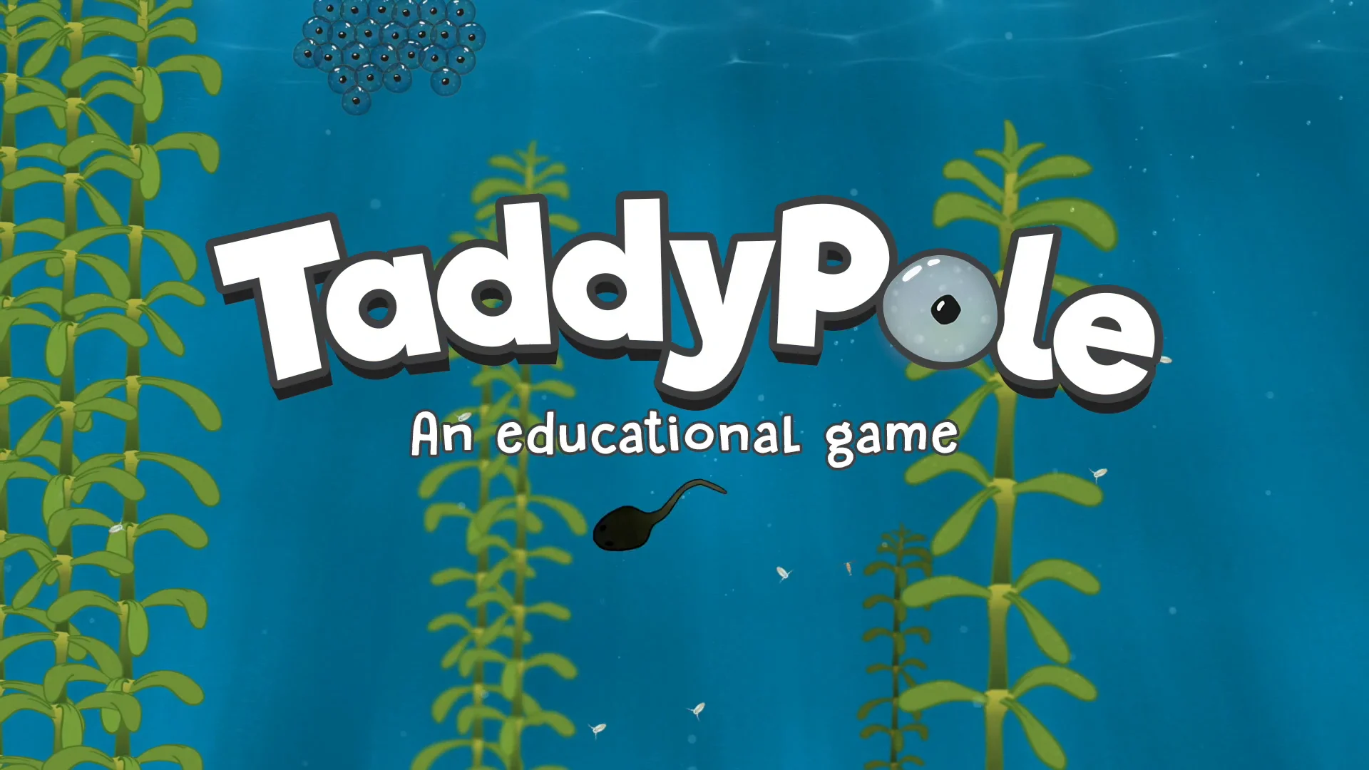 TaddyPole - An Educational Game