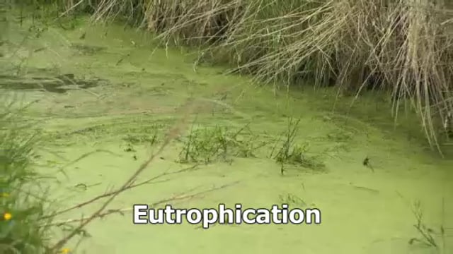 Nutrient leaching — Science Learning Hub