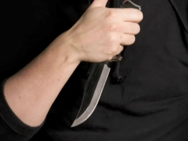 Aphrodisiac Allyson Roy Book Trailer on Vimeo