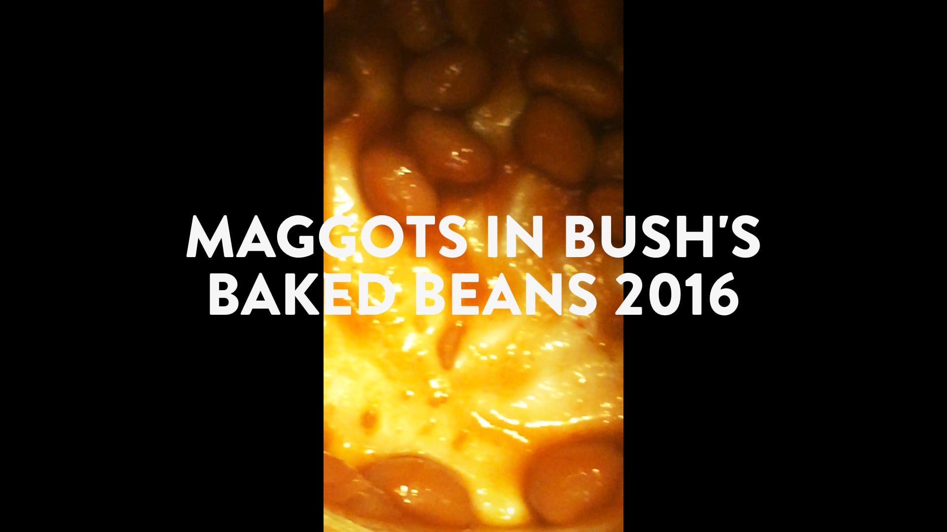 Maggots In Bush's Baked Beans 2016 on Vimeo