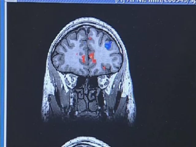 n-back test — Science Learning Hub