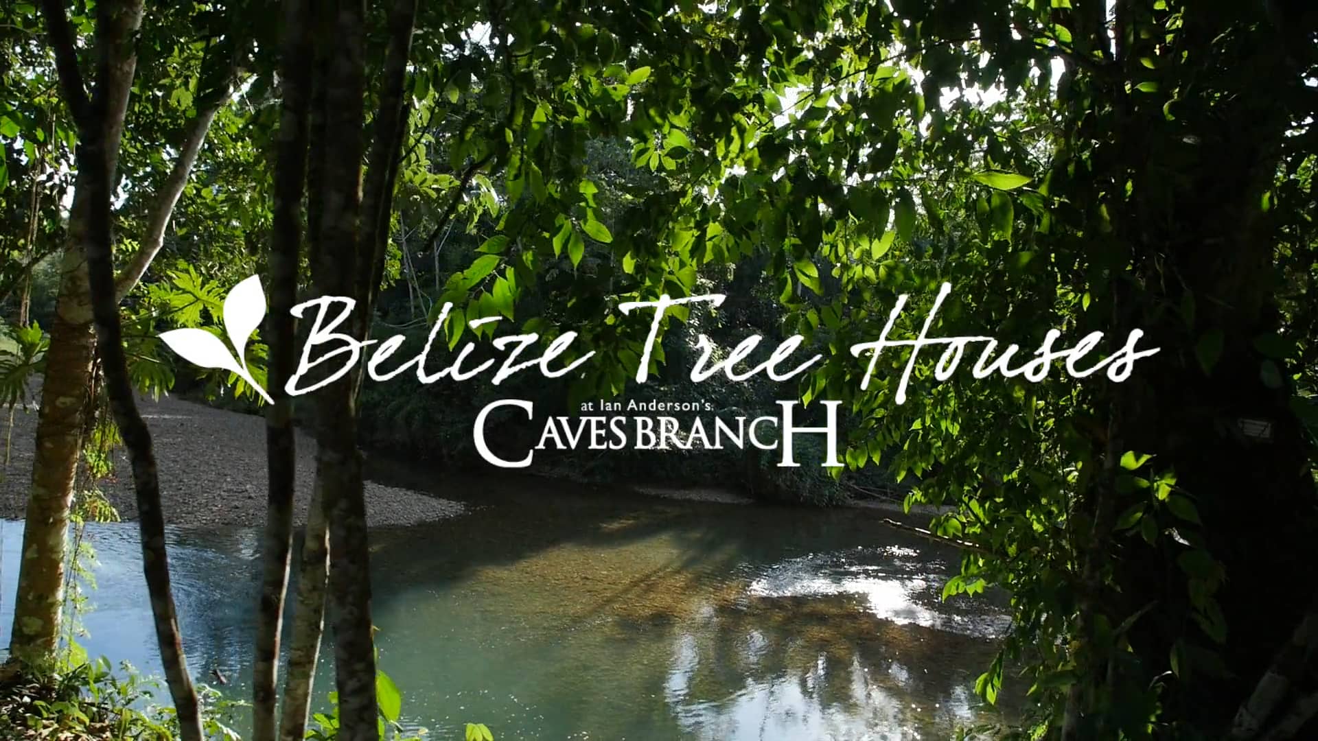 Experience the Belize Tree Houses at Ian Anderson's Caves Branch Jungle ...