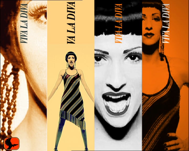 'DIVA' Music video - 1997 on Vimeo
