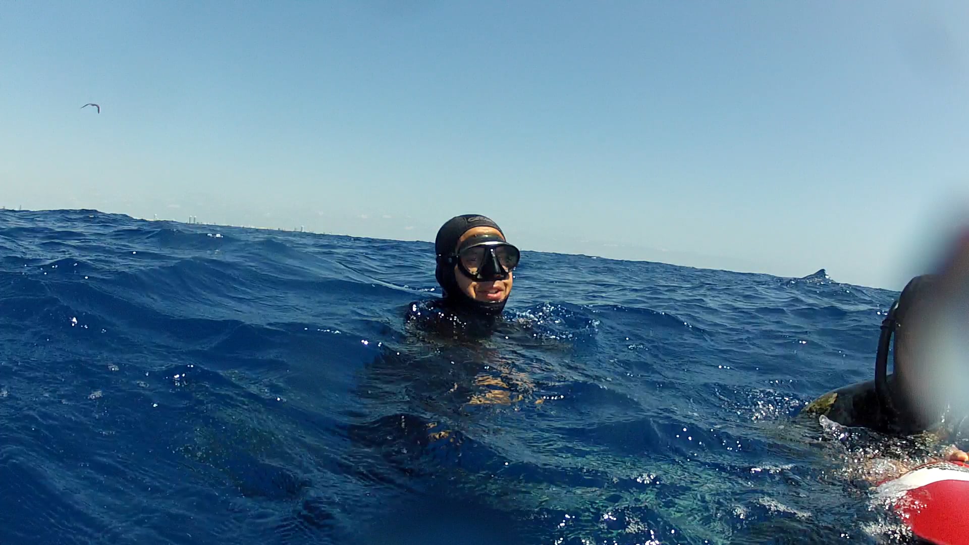 FII Level 1 20m Dive on Vimeo