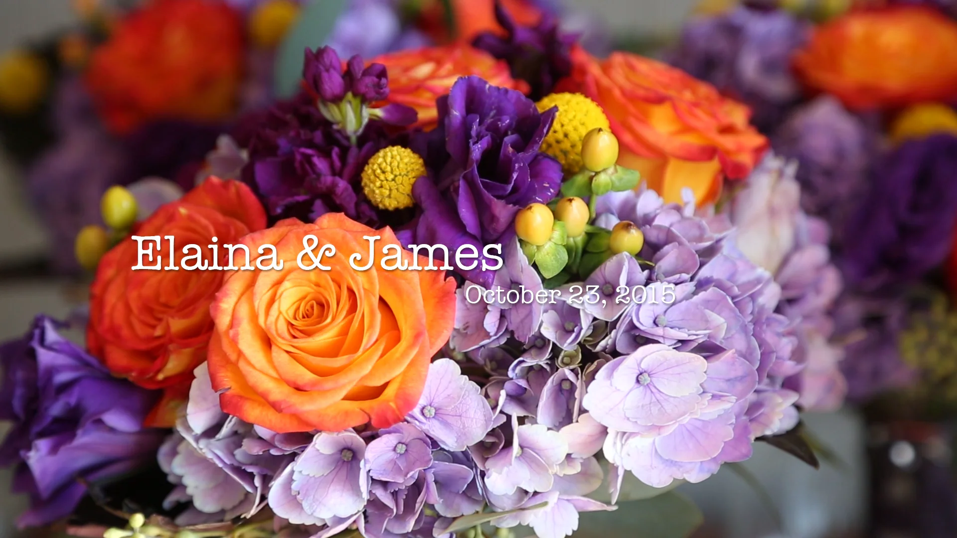 Elaina & James 10.23.15 on Vimeo