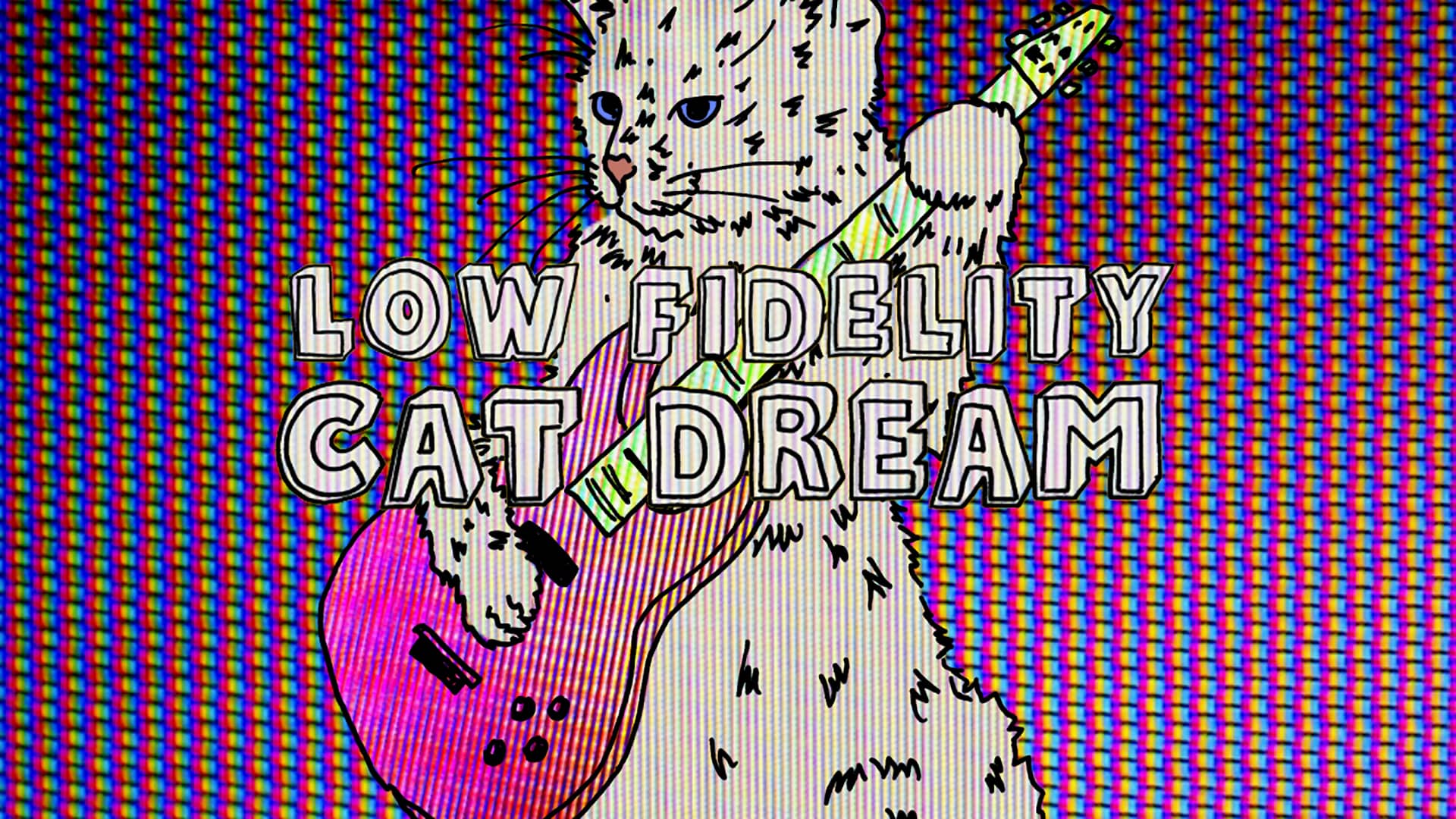 Low Fidelity Cat Dream on Vimeo