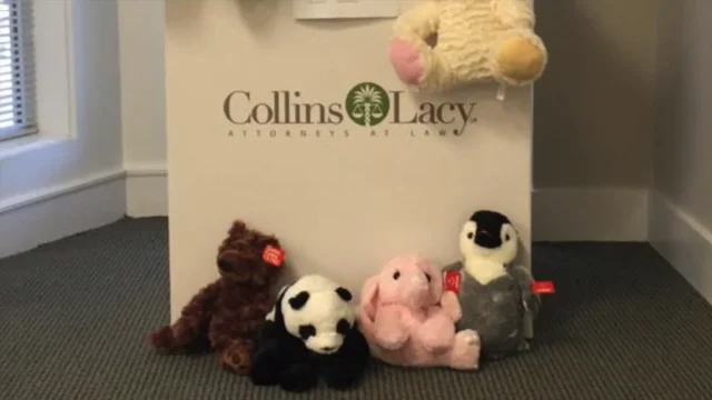 Collins And Lacy Greenville Sc