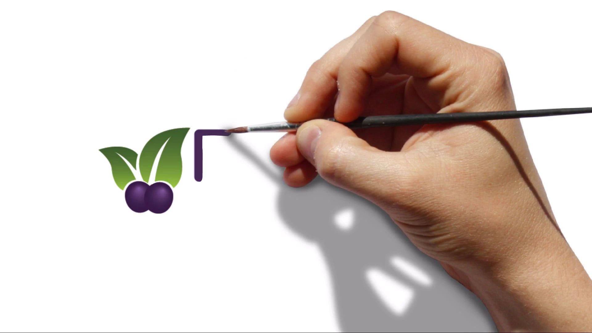 Peidso Logo on Vimeo