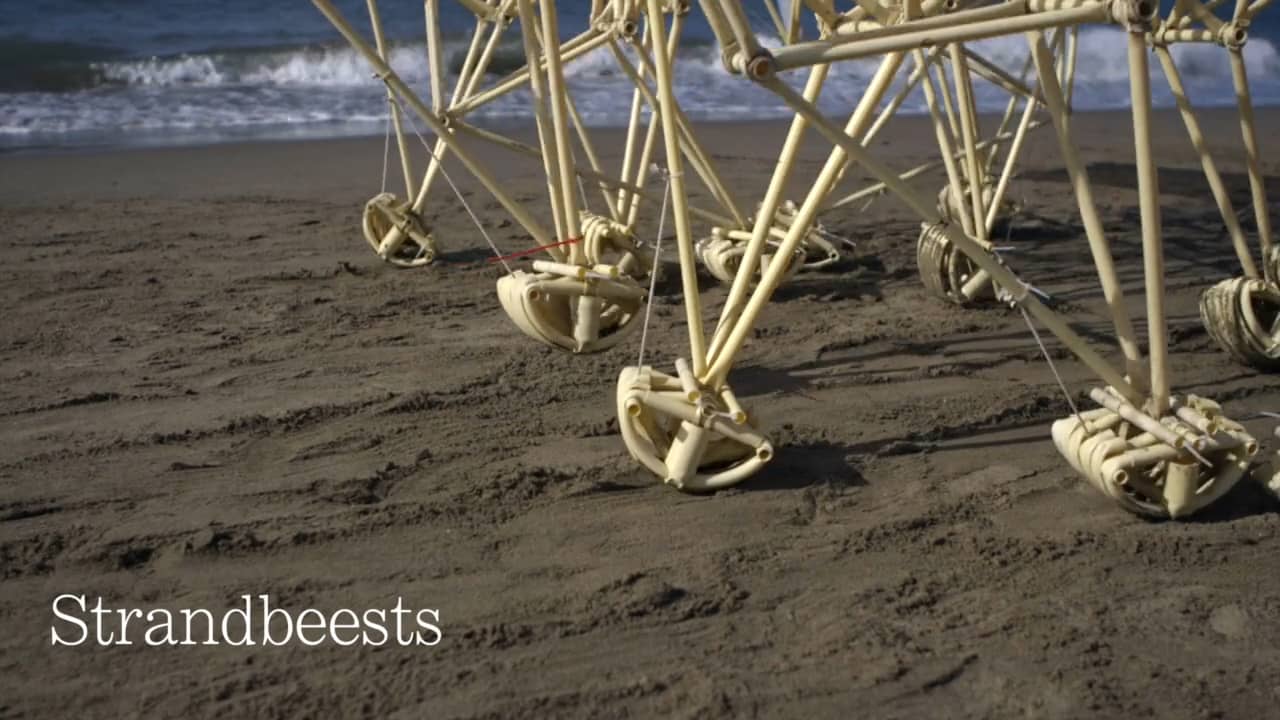 Strandbeests on Vimeo