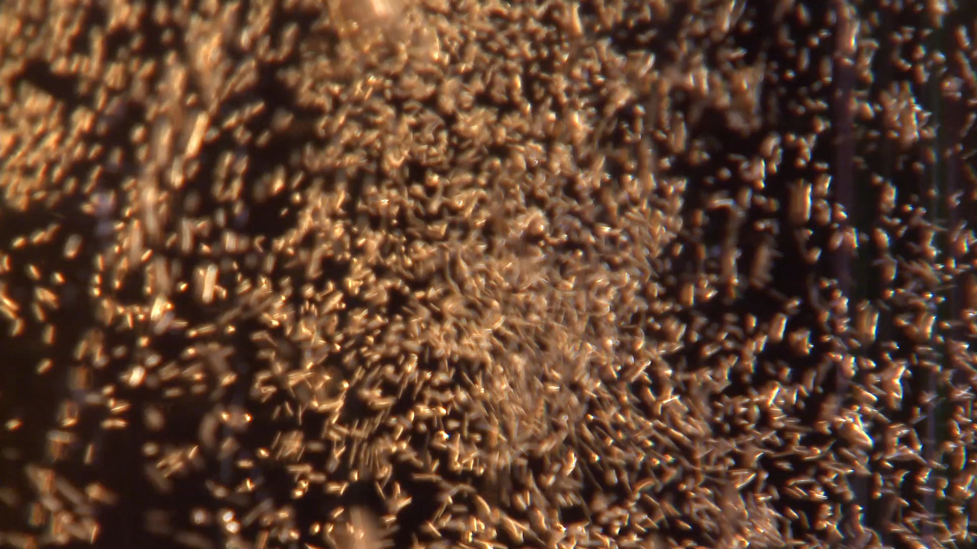 Watch Episode 6 | Sweet Treats Online | Vimeo On Demand on Vimeo