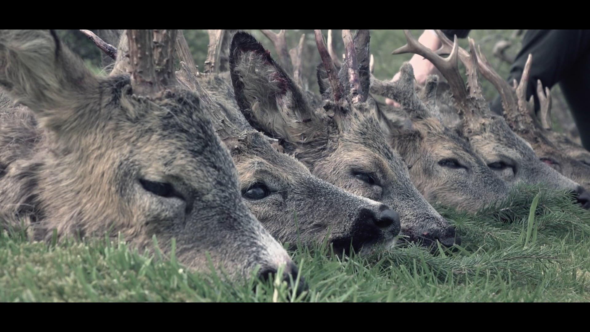Hunting/Germany on Vimeo