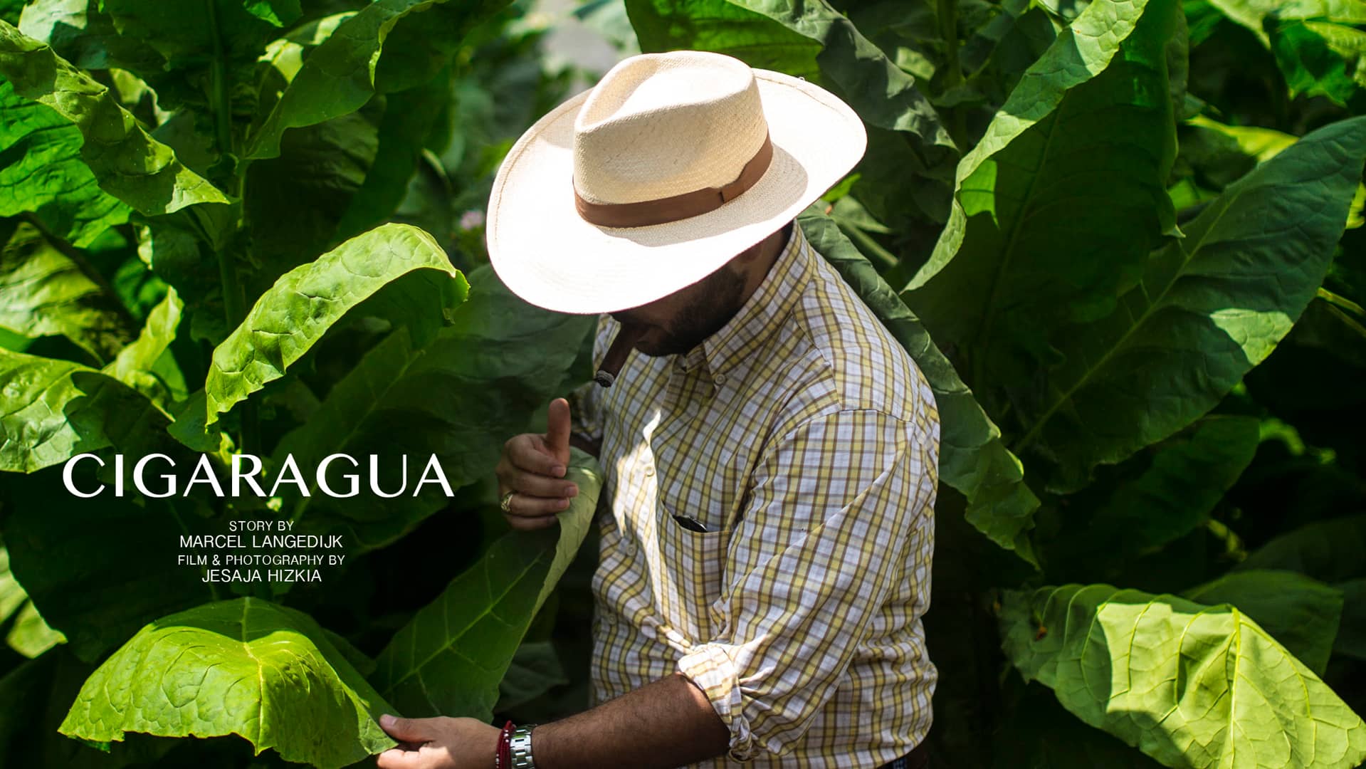 Cigaragua the story on Vimeo