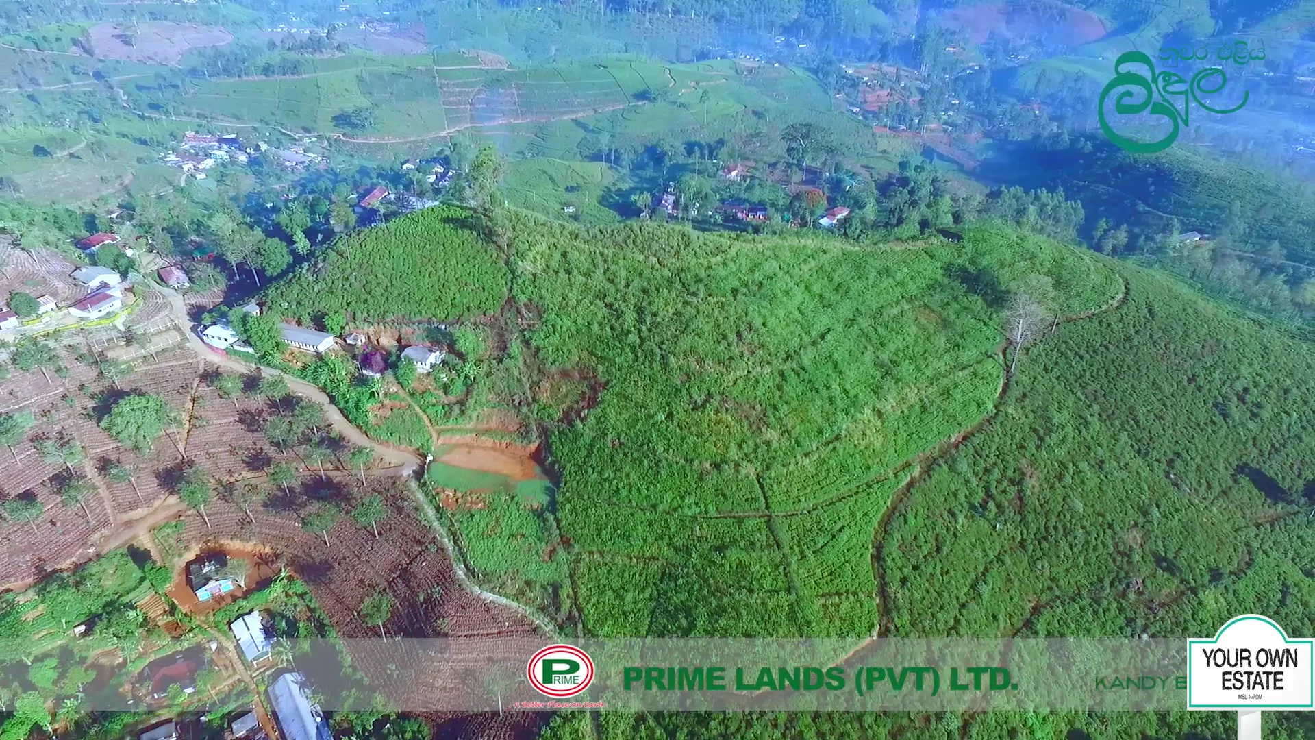 Prime Lands - Lindula