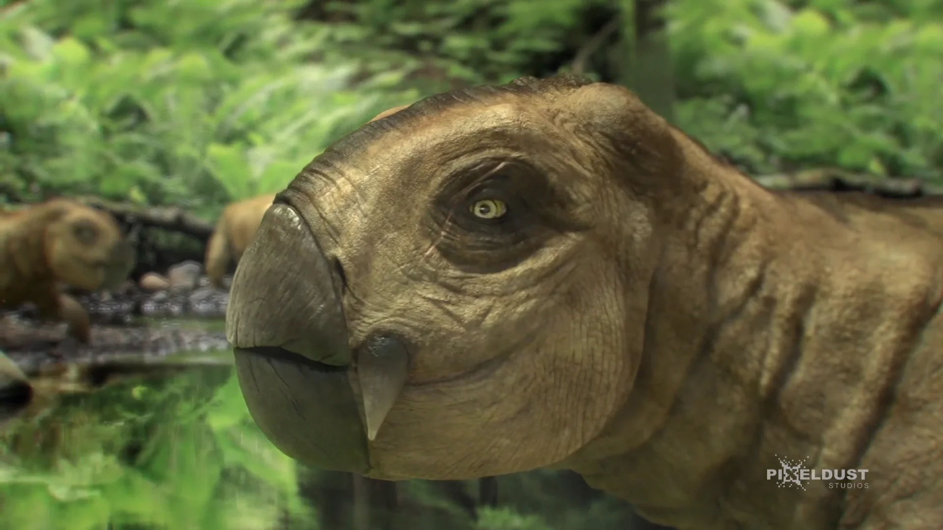 Smithsonian Networks - Mass Extinction: Life at the Brink