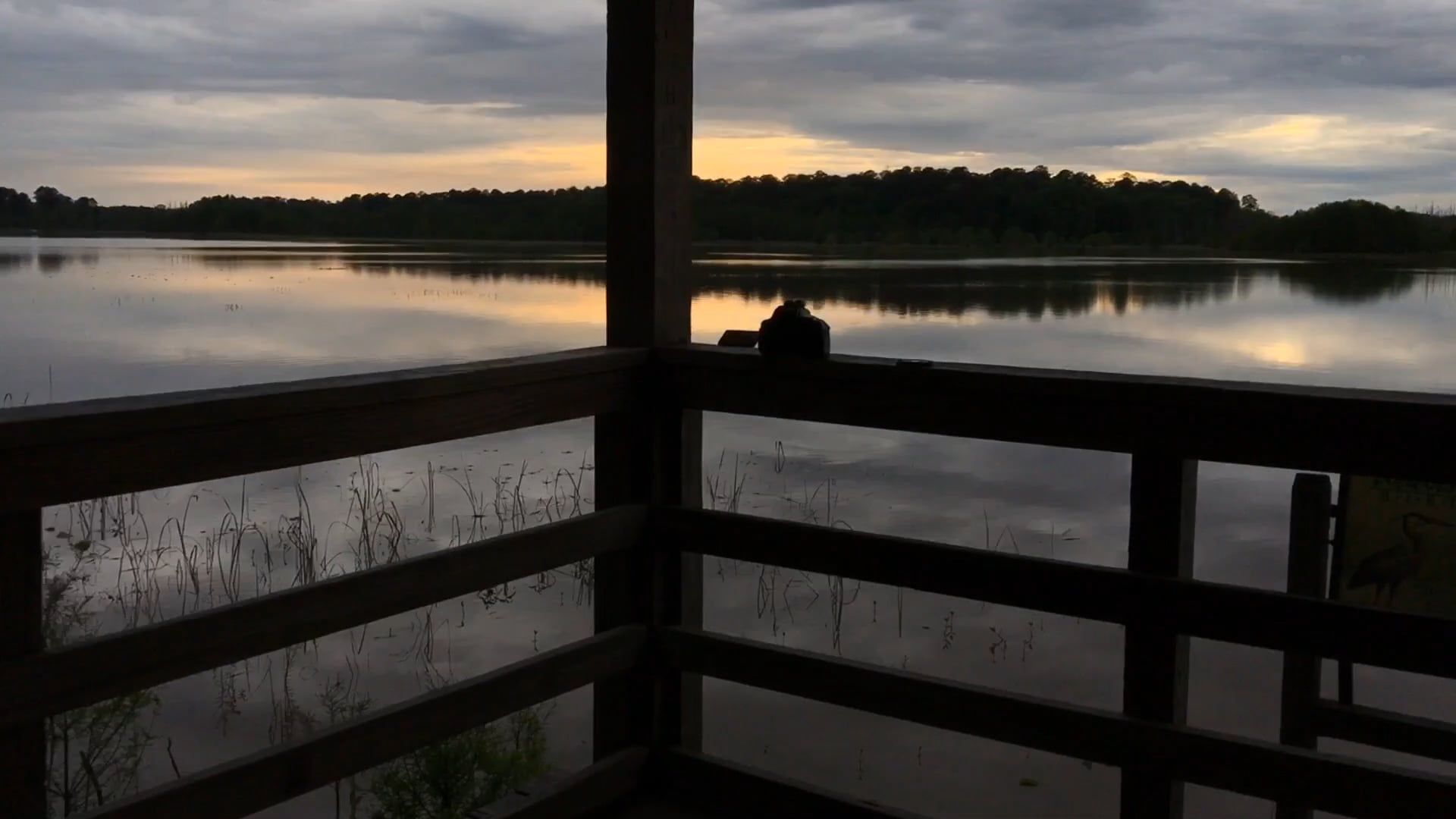 _tuesday rookery 4-19-2016 on Vimeo