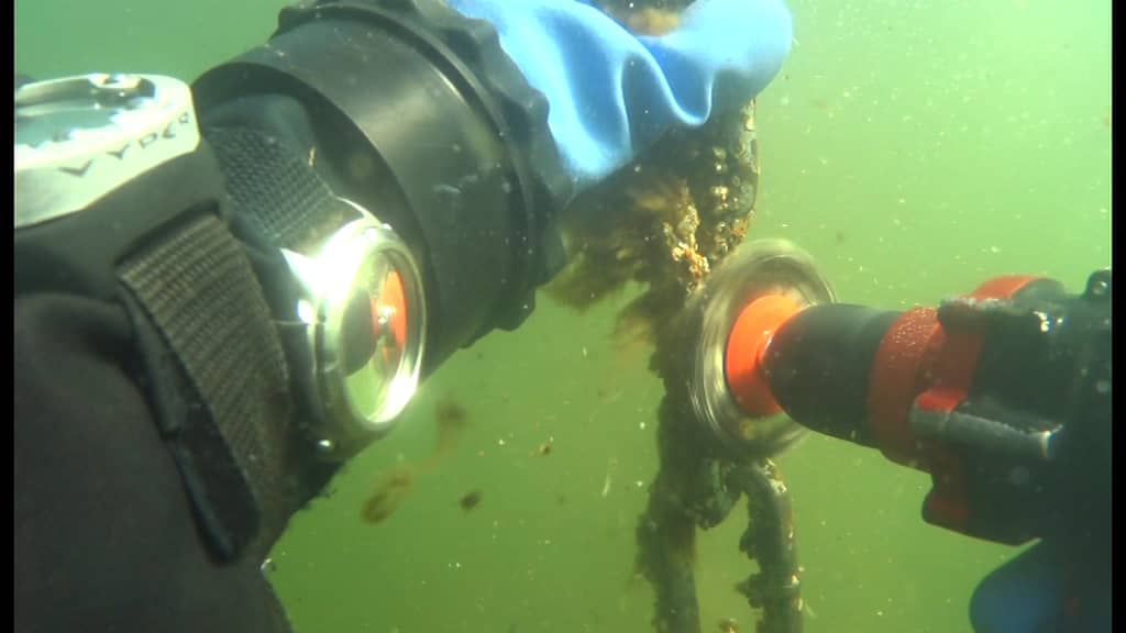 Nemo drill with wheel brush attachment cleaning barnacles off a buoy ...
