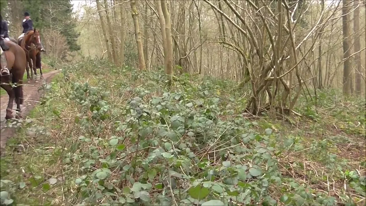 South Herefordshire master, Patrick Darling on Vimeo