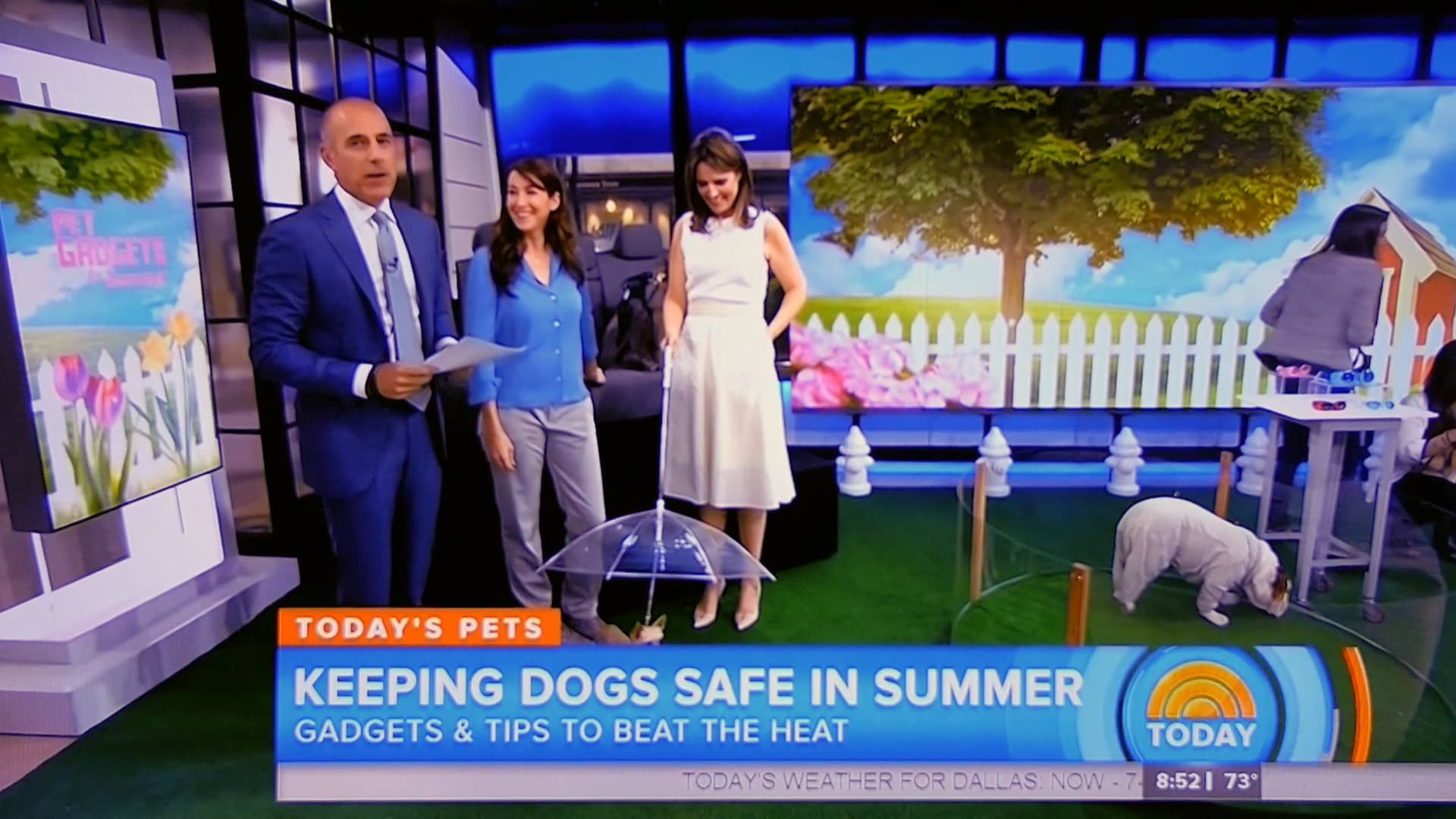 Today Show_Dog Segment3 on Vimeo
