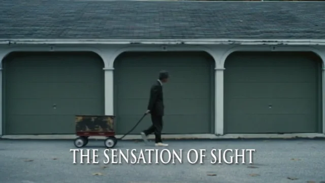 The Sensation Of Sight