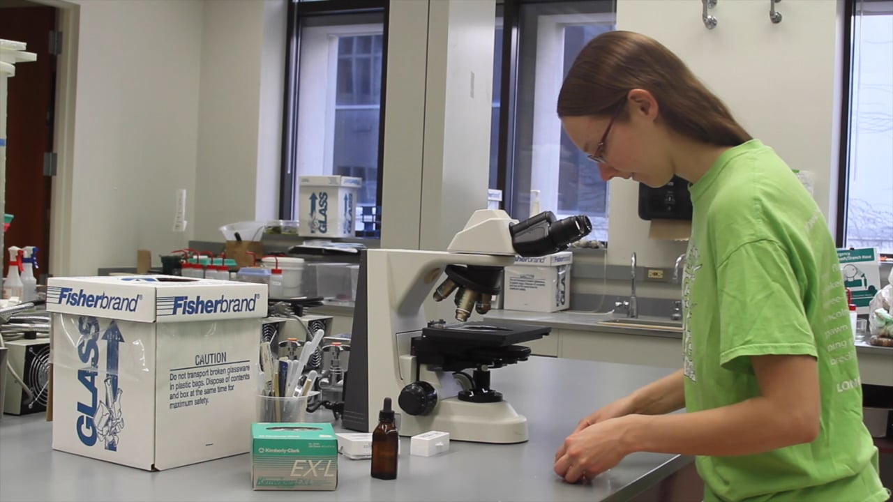 Micro-Micro on Vimeo