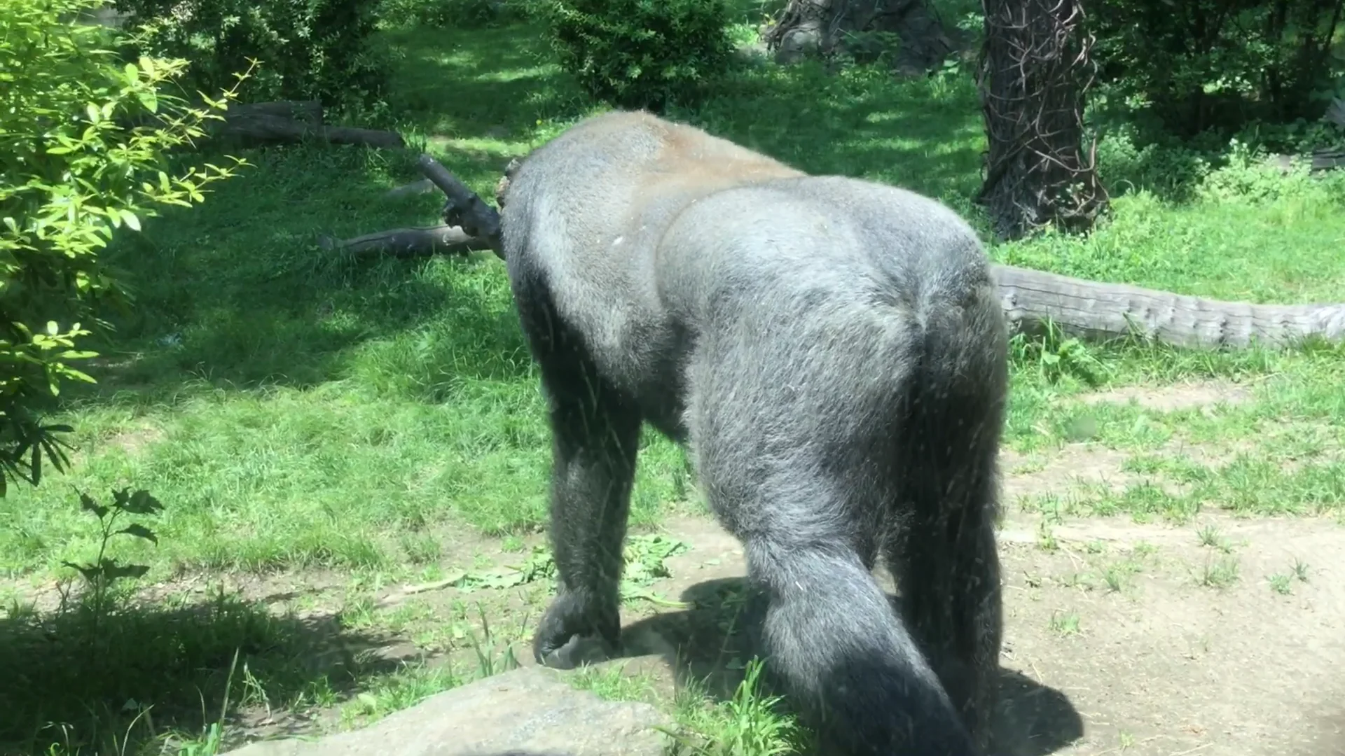 A Birthday Card for Cyndi Stivers on Vimeo