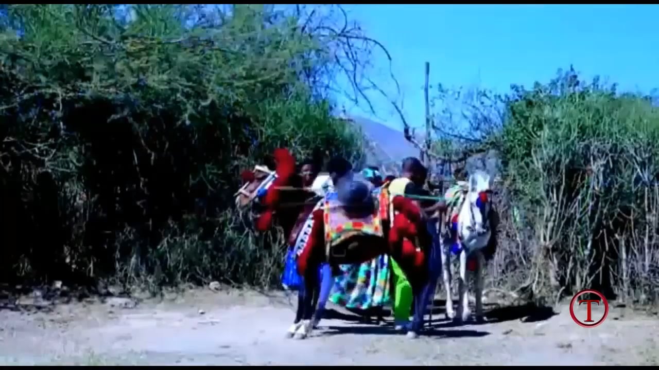 New Caalaa Bultumee (Song) Must listen Qeerraansoo 2016 on Vimeo