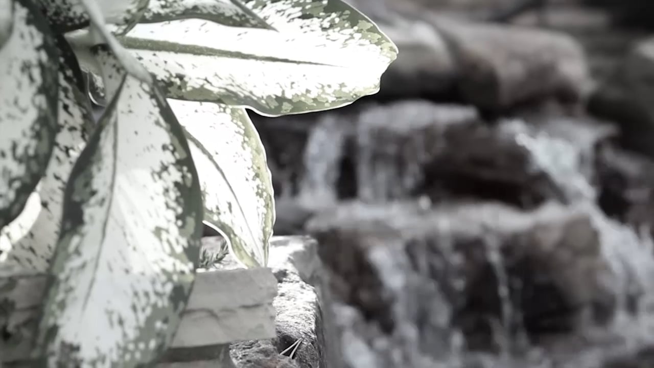 Final Version 2 on Vimeo