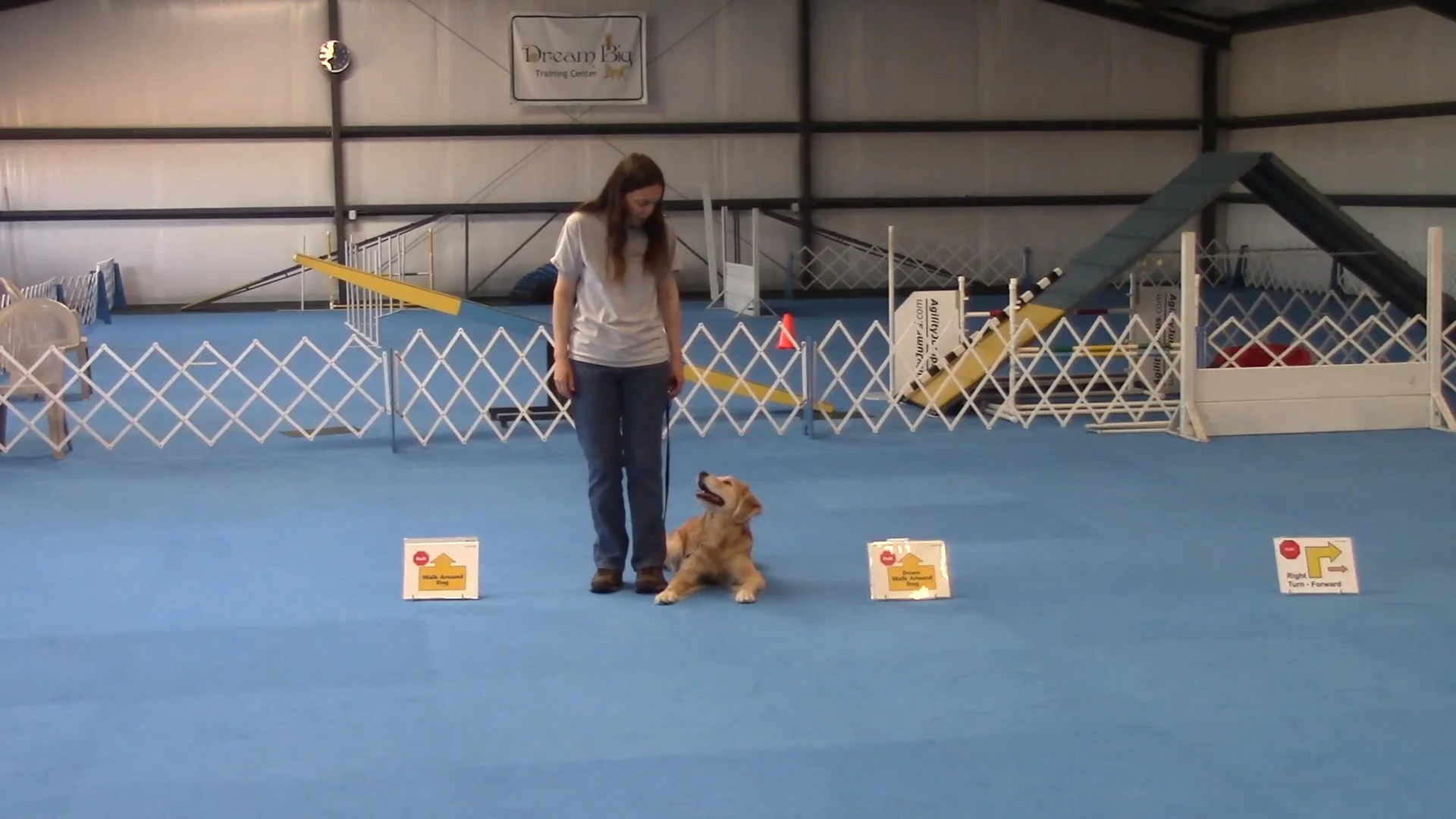 Watch How to Win at Rally, Part 1: Novice Online | Vimeo On Demand on Vimeo